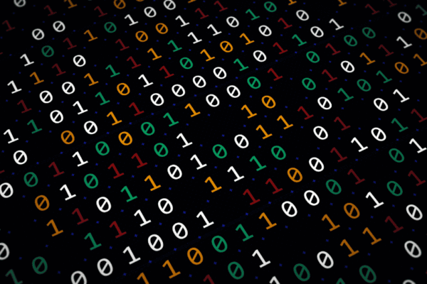 Binary Prophecies - India Writing Project